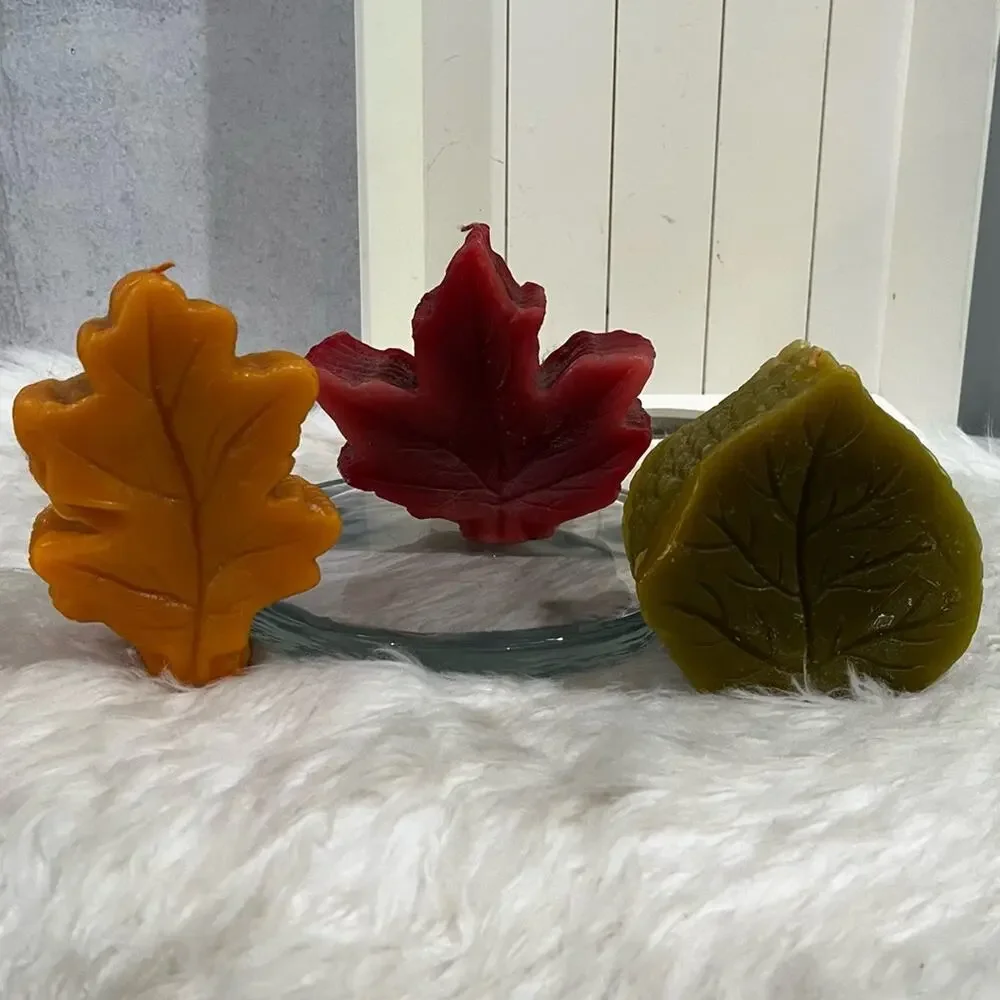 Pottery Barn | Accents | New Pottery Barn Tonal Autumnal Leaves Rippled ...